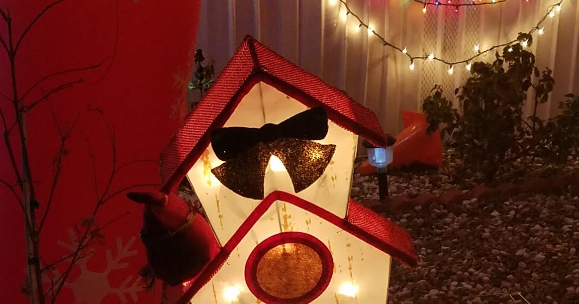 Adventures in Weseland: Random Christmas Photos