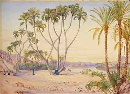 The Fruits of Doum – Shevaun Doherty