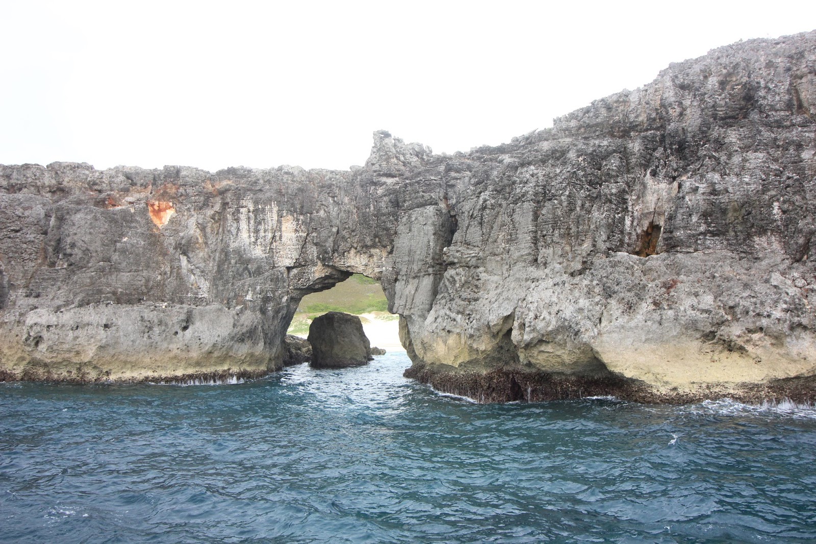 ドリーム号IIIツアー日記