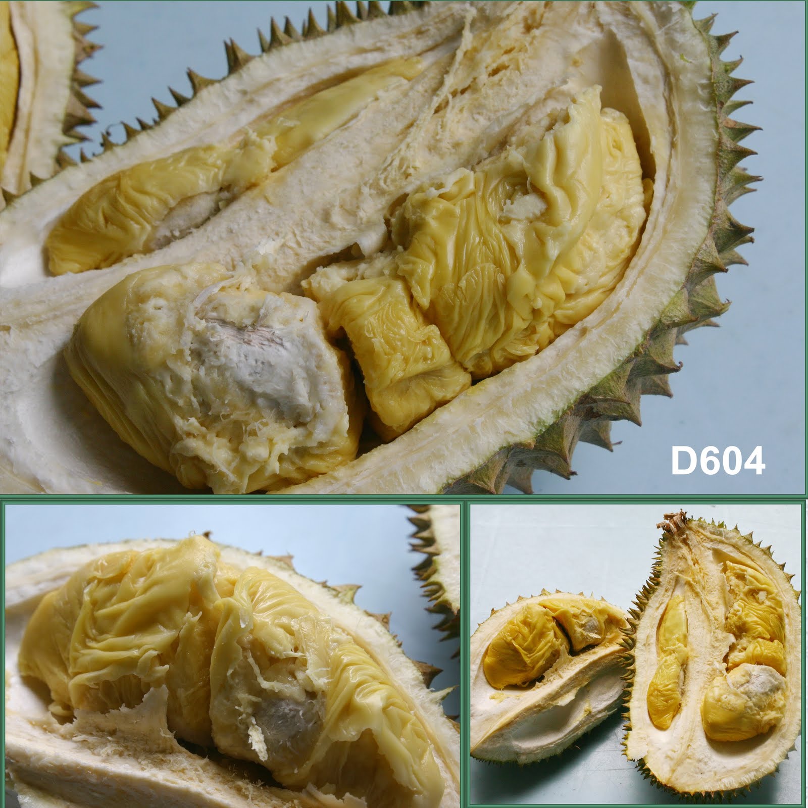 FoOd PaRaDiSe: Ah Soon Durian Orchard at Balik Pulau, Penang