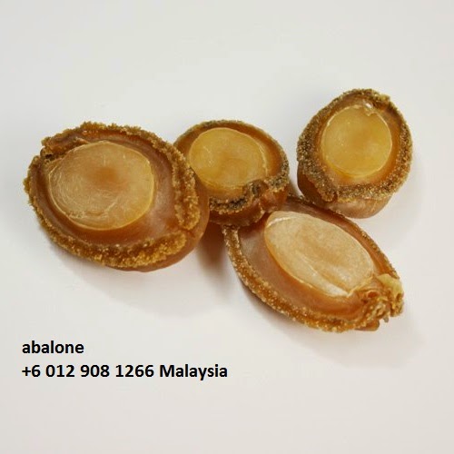 All About Malaysia ( Travel & Tour )