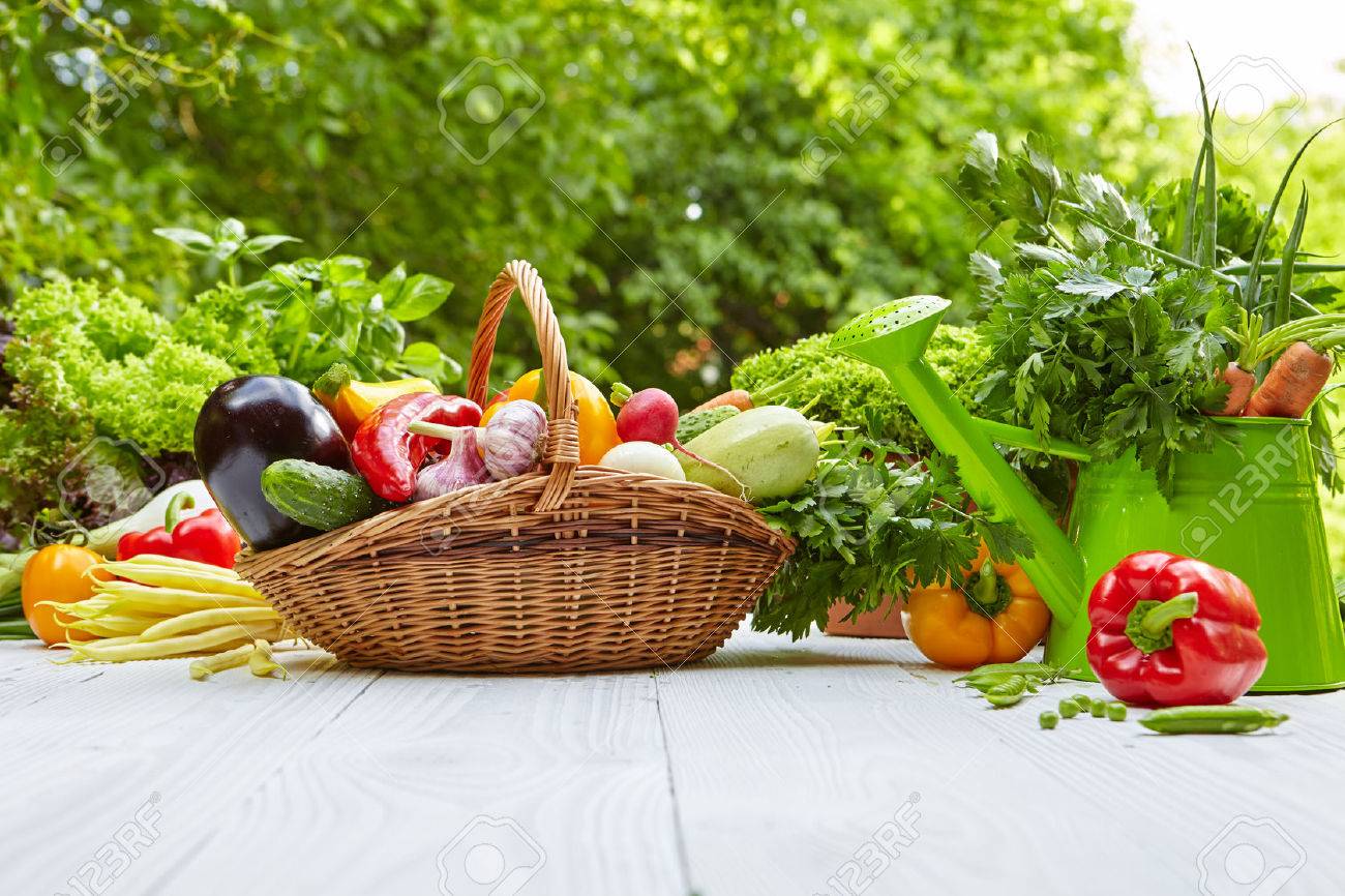 Alimentação natural