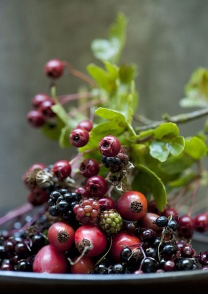 Bobule III: slané | Zkvašeno.cz