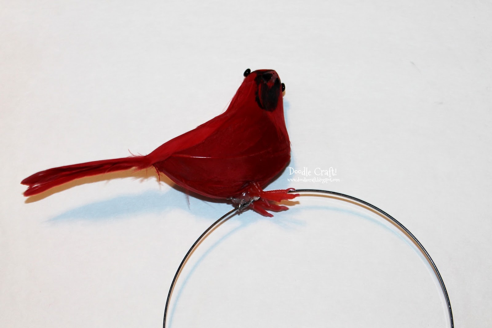 Crazy Bird Lady Headbands!