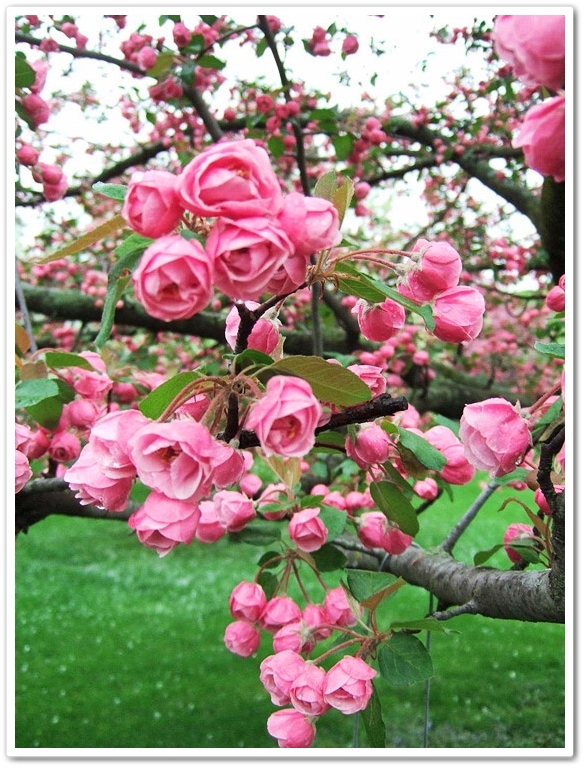 Reménykeltő: Szép tavaszi képek