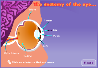 The English Cubby: November 2013