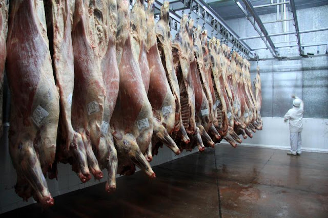 Crónicas, historias y otras yerbas: El matadero