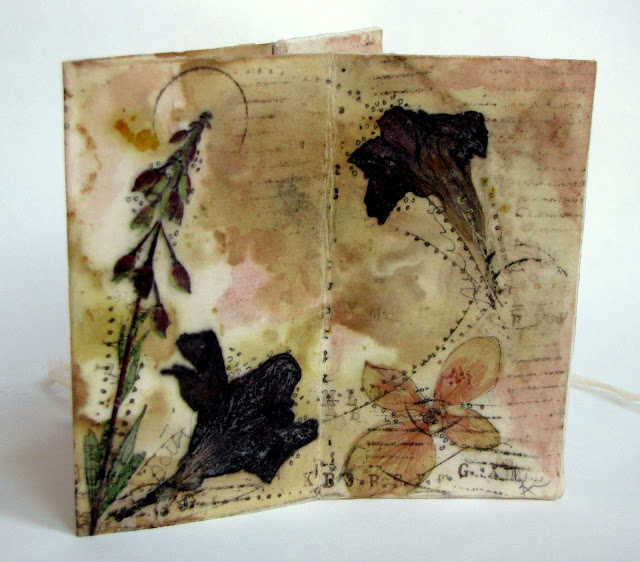 Letting in the Light: Finding Violet