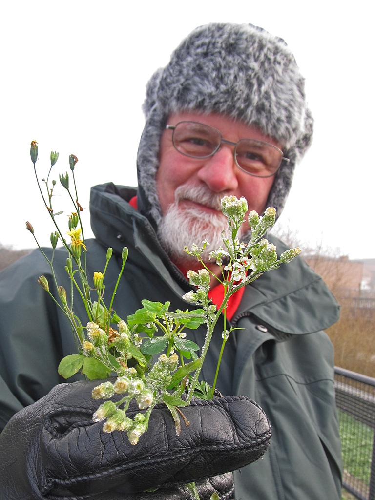 All set for the New Year Plant Hunt
