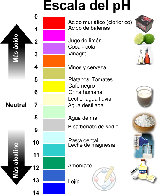 El Ph de la piel y testeo de pH en Limpiadores [actualizado] | Korean ...