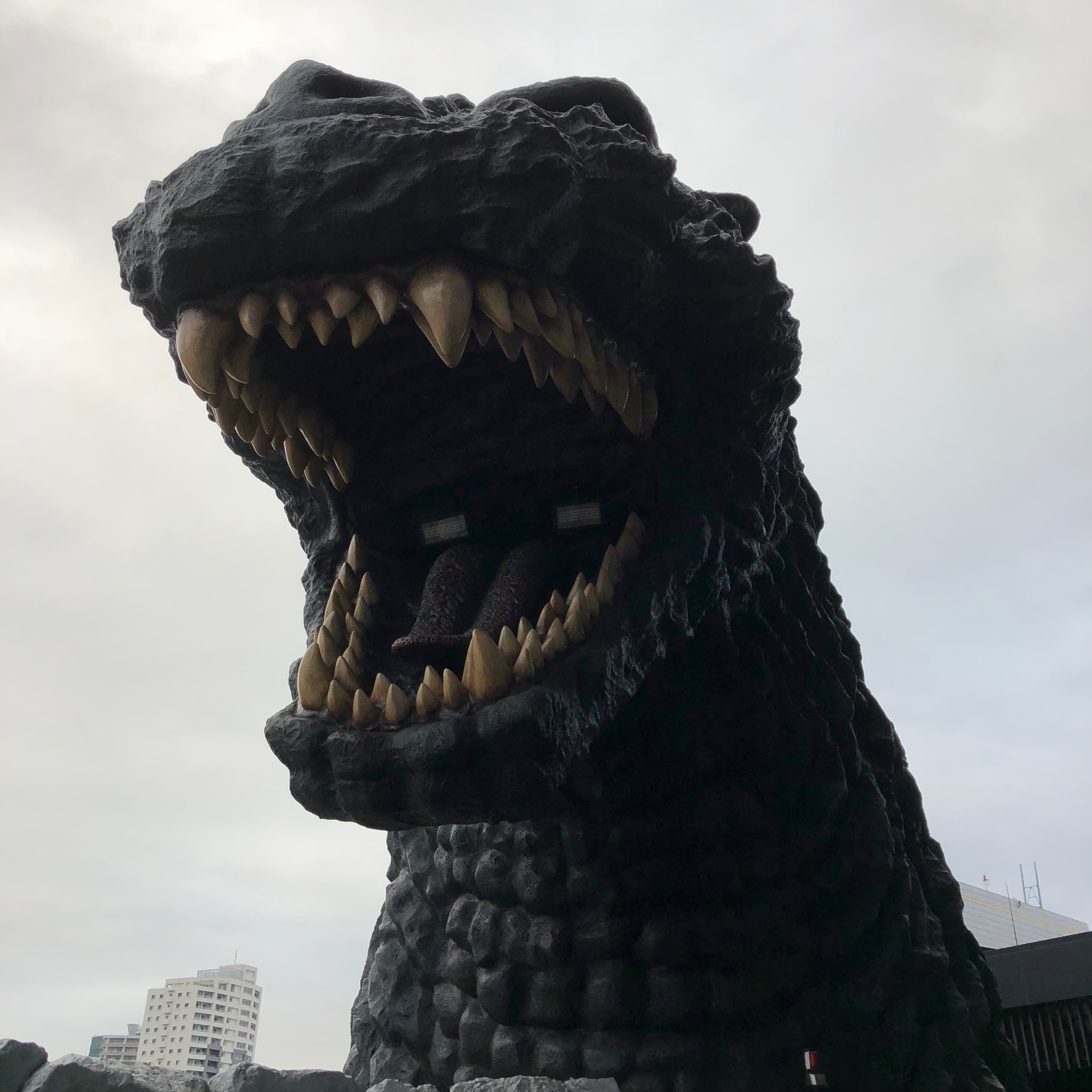 Giant Godzilla Head Up Close and Godzilla Store Shinjuku