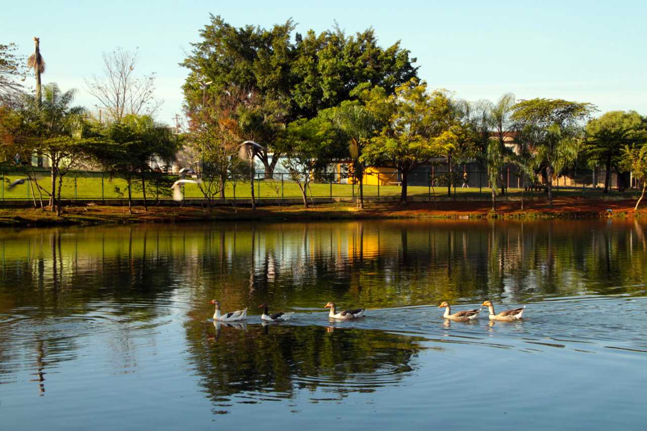 TURISTANDO PELO MUNDO: LAMBARI / MINAS GERAIS - Procurada por suas ...