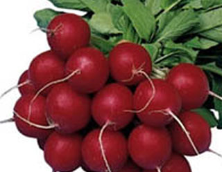 Guia para uma Alimentação Saudável: Os benefícios do rabanete