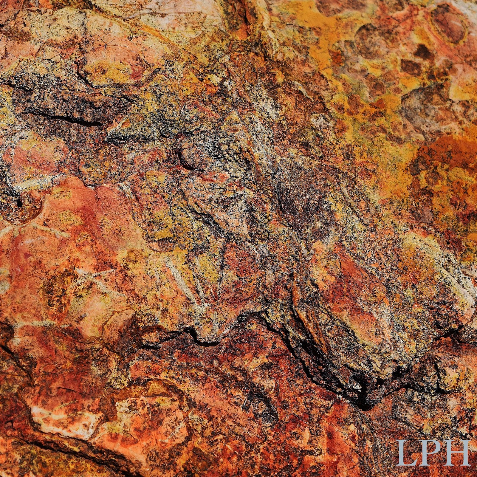 Photo LPH: TEXTURA ROCOSA