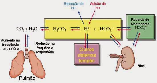 saúde de A a VaZ: Acidose