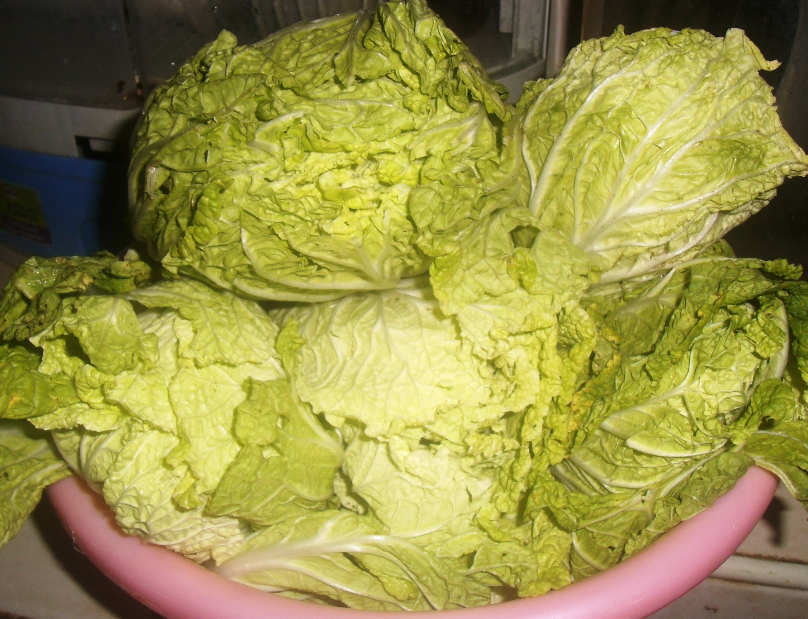 Pinoy Meal Ideas: Kimchi