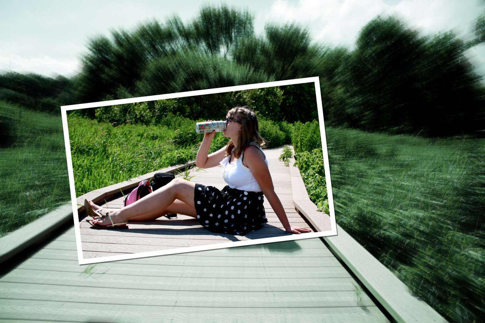 Lisa Persson Photography