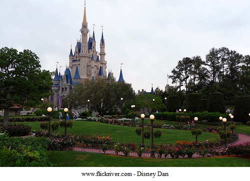 Disney Little Things