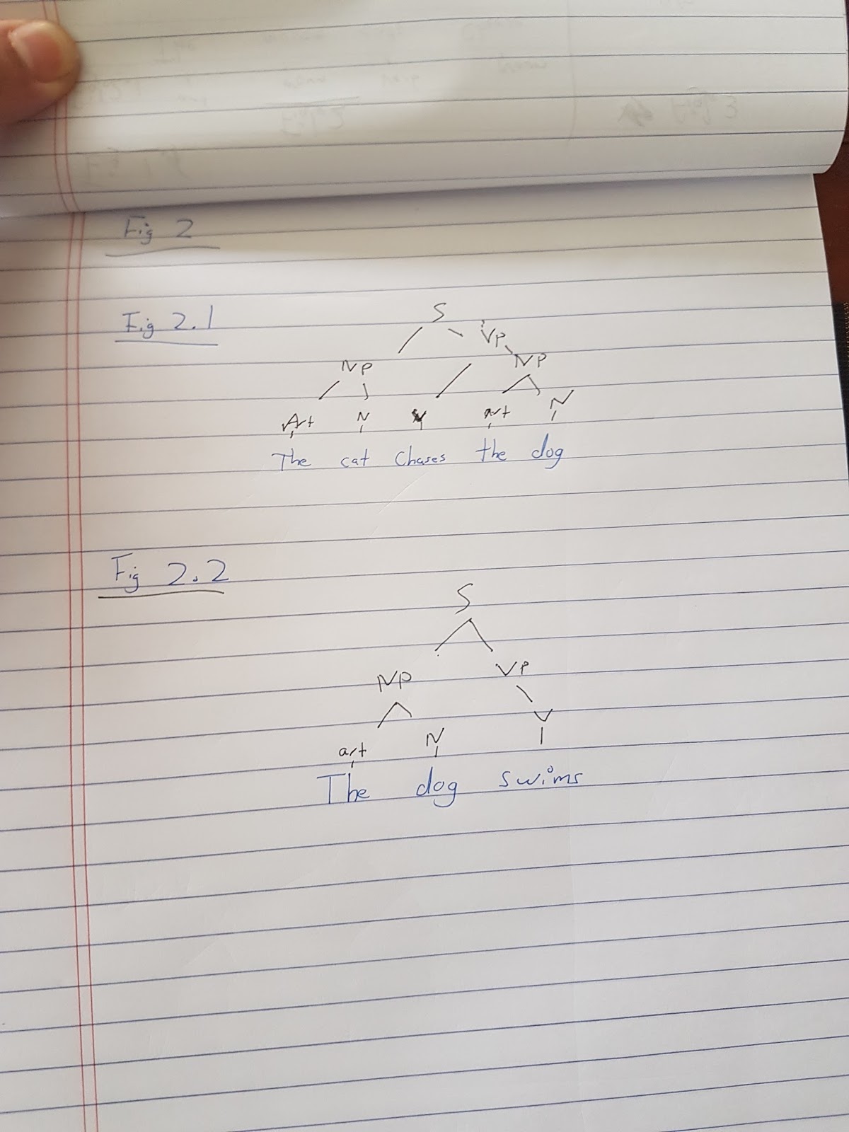 Tentative Thoughts Universal Grammar And A Review For The Language
