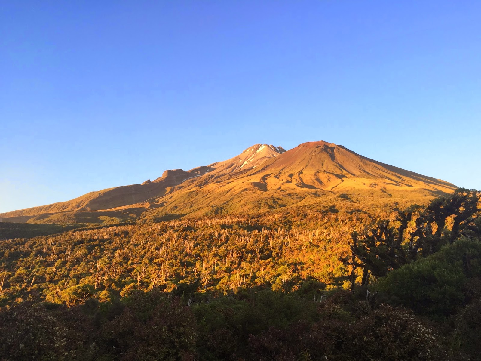 A Welcome Sight: Lake Dive and Syme Hut, Egmont National Park