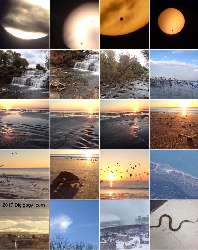 Digigogy: Cell Phone Science