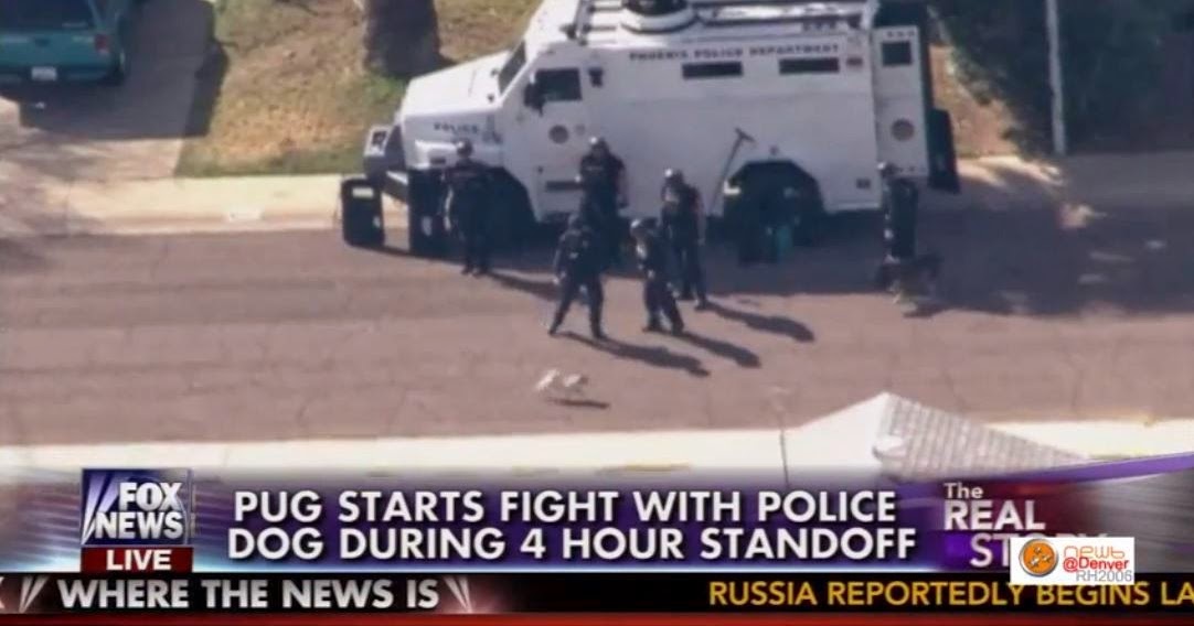 Super Punch: "Pug starts fight with police dog during 4 hour standoff"