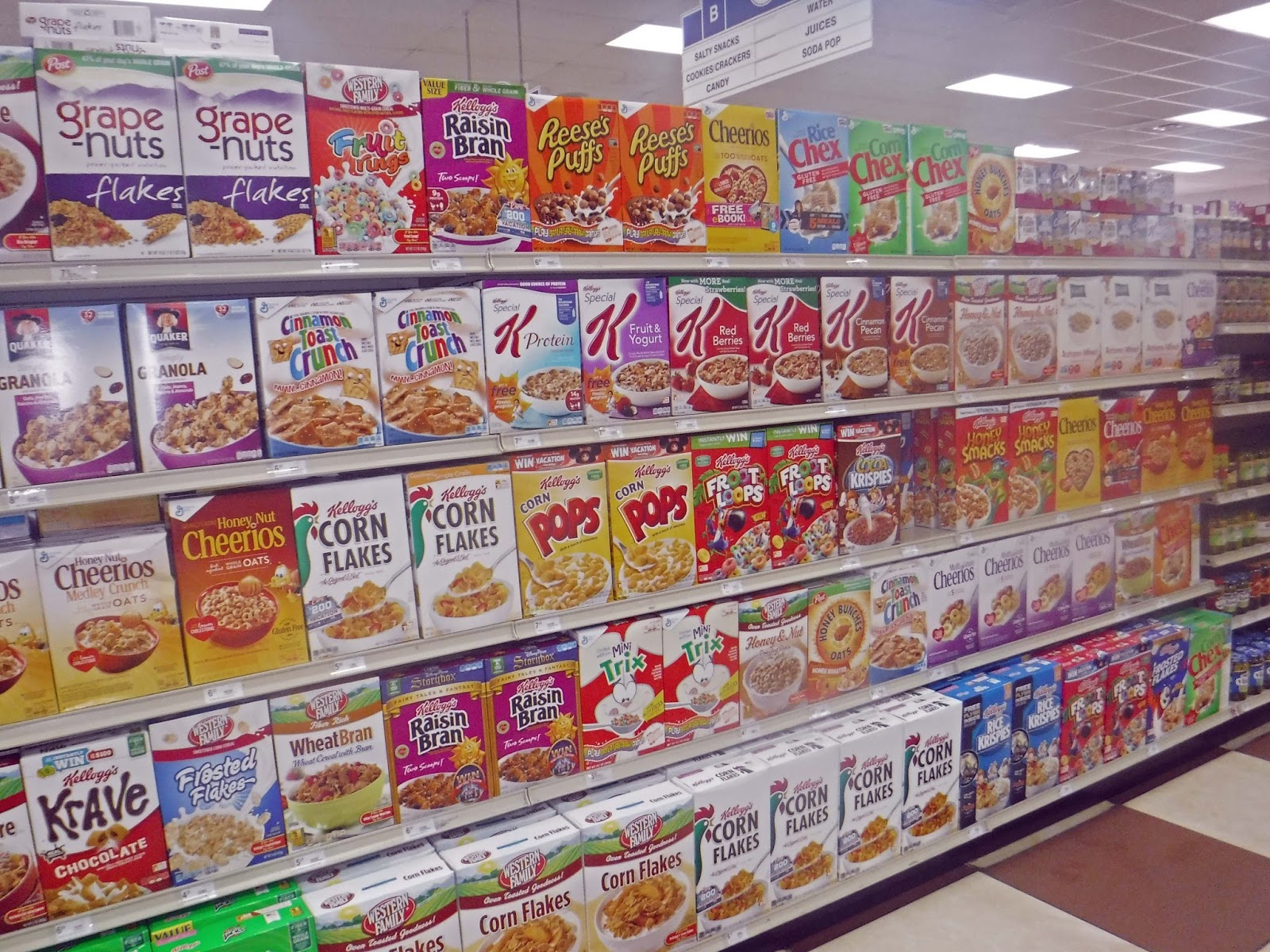 Elder Colby Ross Smith: Building a Temple of God