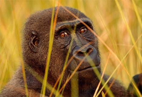 Blood, Sweat, and Tedium: Confessions of a Hollywood Juicer: Do NOT ...