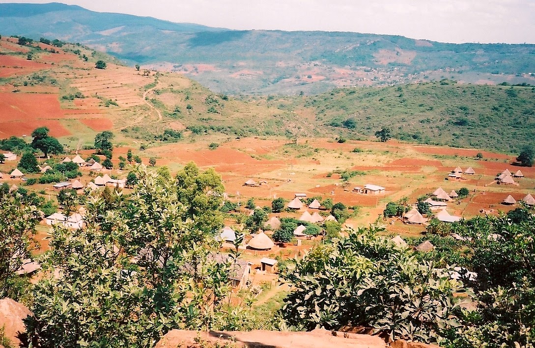 Jackie Wills: June 2014