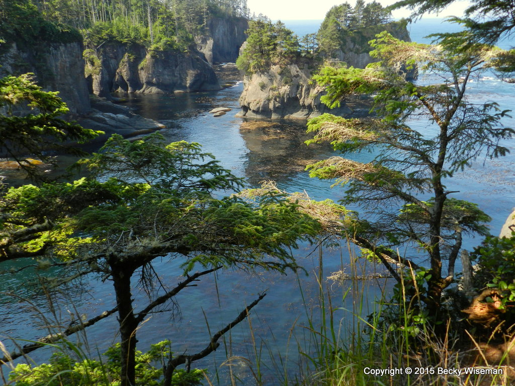 kinexxions: The Olympic Peninsula :: Cape Flattery Trail - August 12th