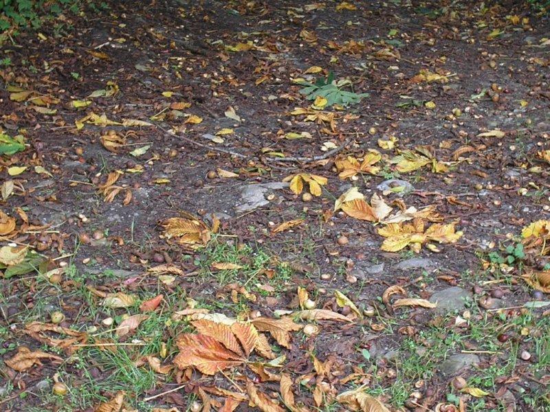 History Links: Raphoe Reconciliatilon Project Volt House