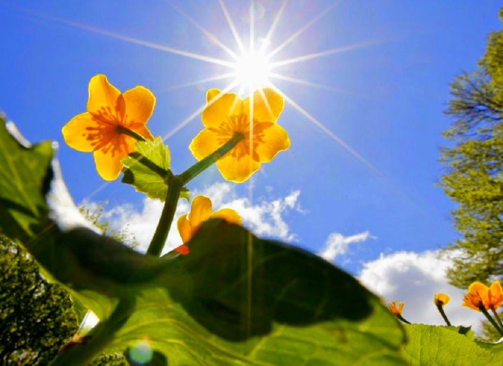 Los primeros rayos de sol primaverales