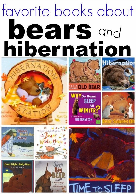 Lovely Literacy & More: Beary Fun Learning