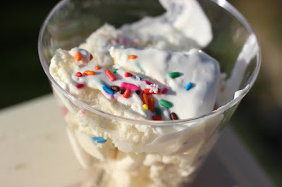 Foodie Family: 2016 Ice Cream Night! Part 2