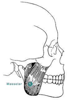 Tiruskan wajah dengan BOTOX