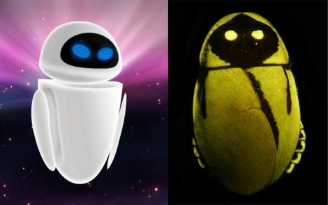 Meridianos: La cucaracha 'amiga' de Wall-E