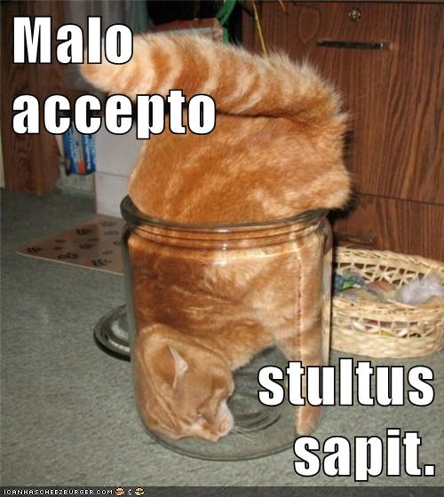 Go Proverbs! Proverb Laboratory: Bland: Malo accepto stultus sapit.