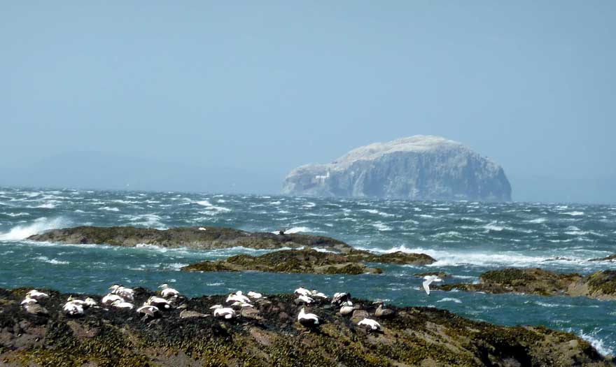 Alex and Bob`s Blue Sky Scotland: Dunbar.Bass Rock.Tantallon Castle ...