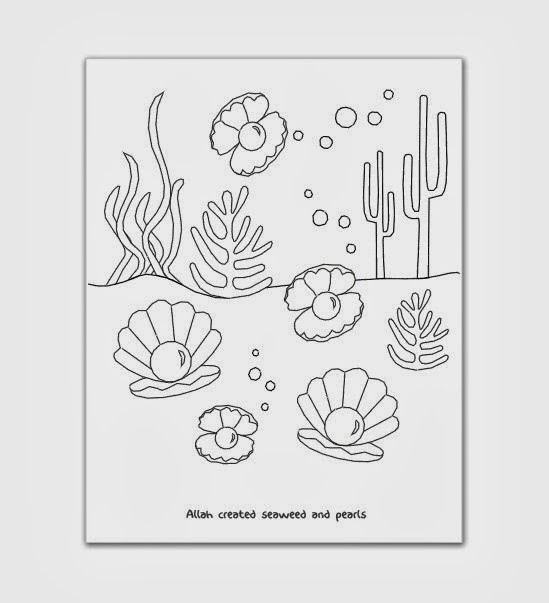 Ibnu Sina Kids: Allah Created Everything! Colouring Book