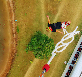 Wander: Bungee Jumping and a day with the Elephants!