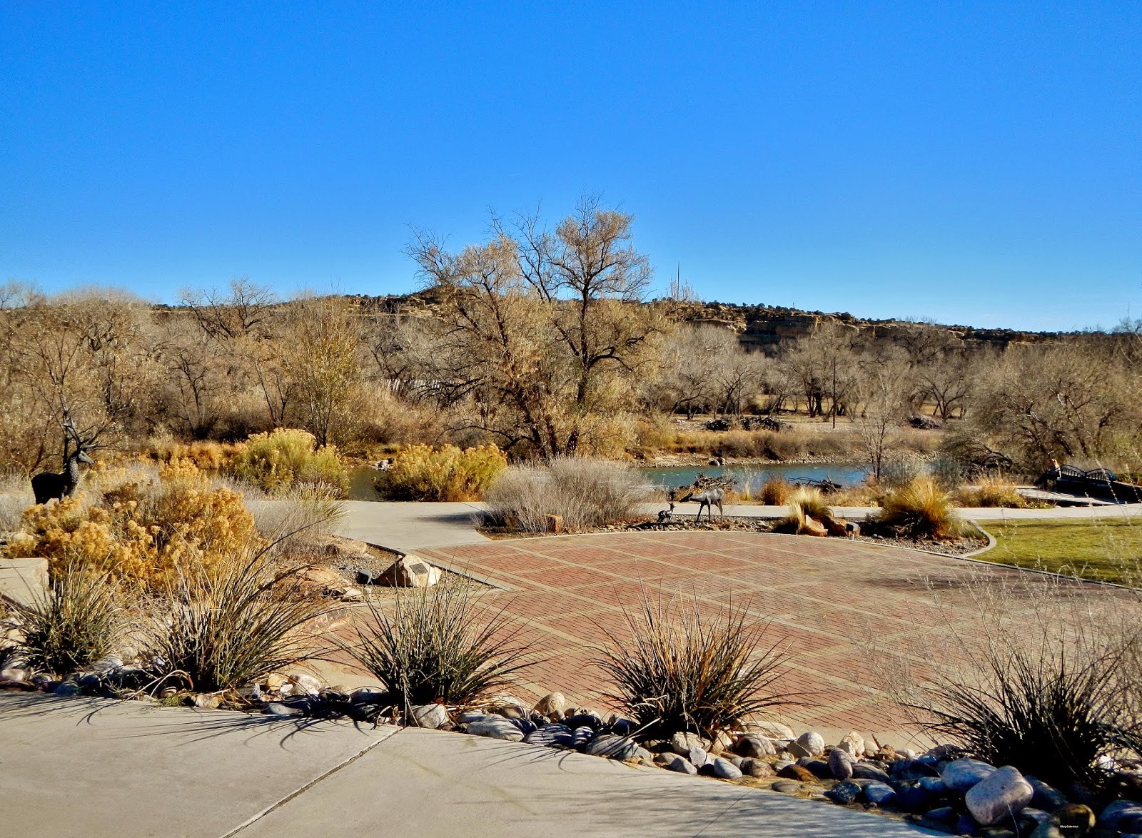 The Southwest Through Wide Brown Eyes: Farmington Museum and the "Lost ...