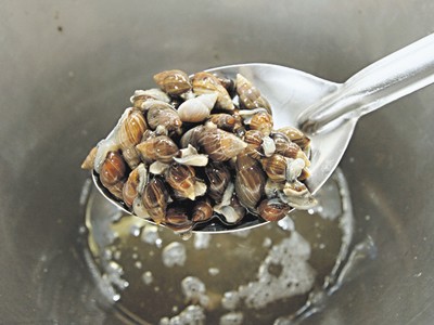 Cultura detrás de la comida exótica