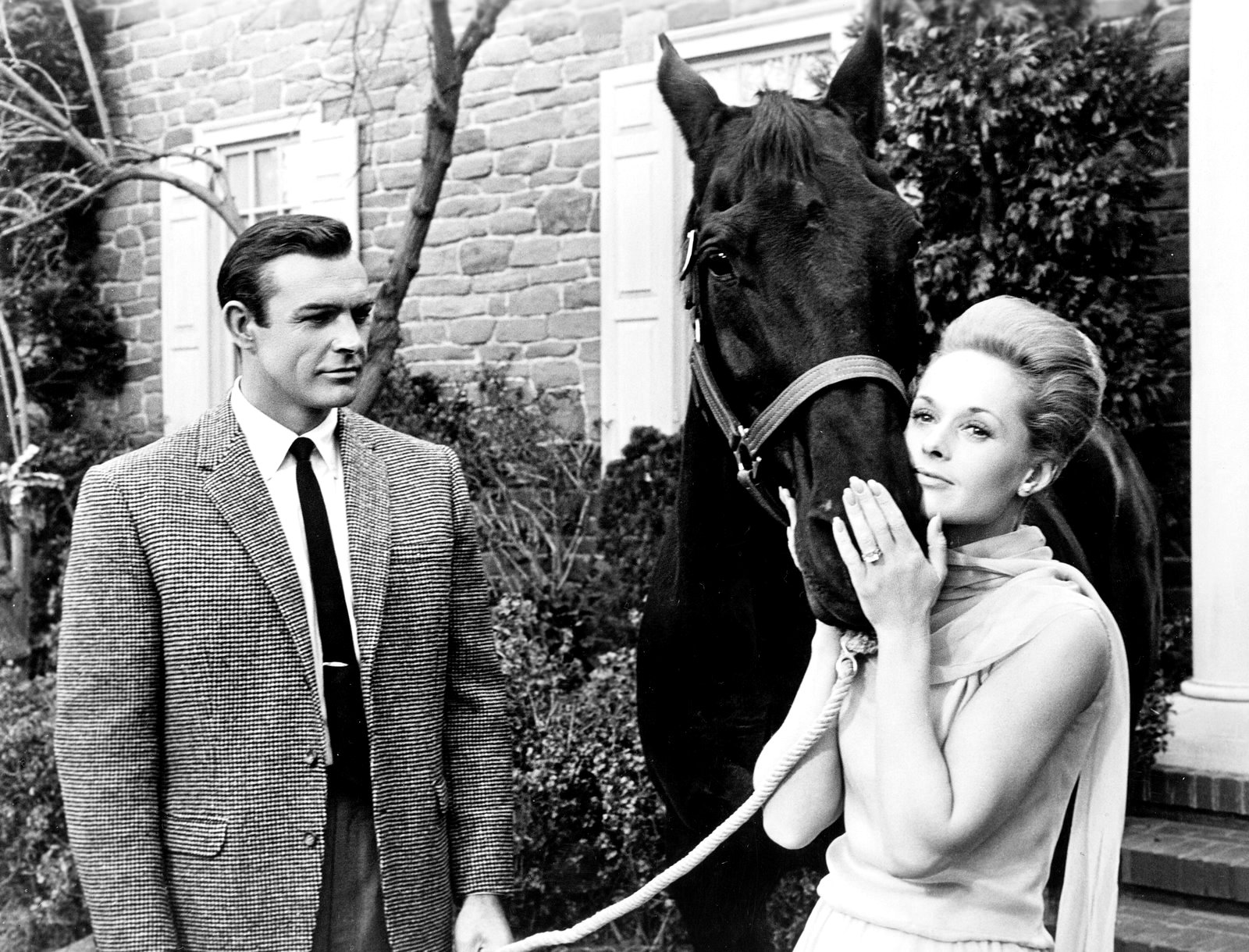 Royalty & Pomp: 08/17/16