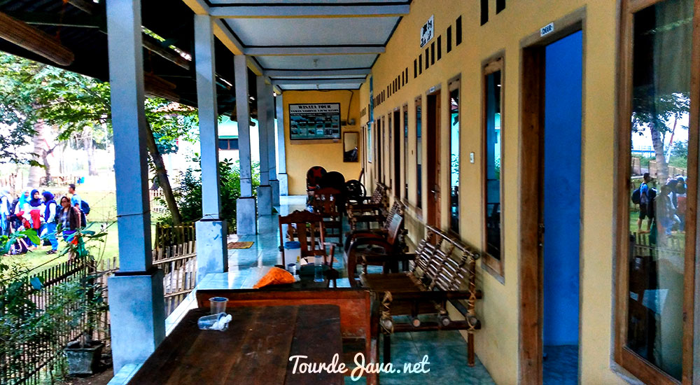 Homestay Rimba Jaya, Penginapan Murah dan Bersih di Ujung Kulon ...