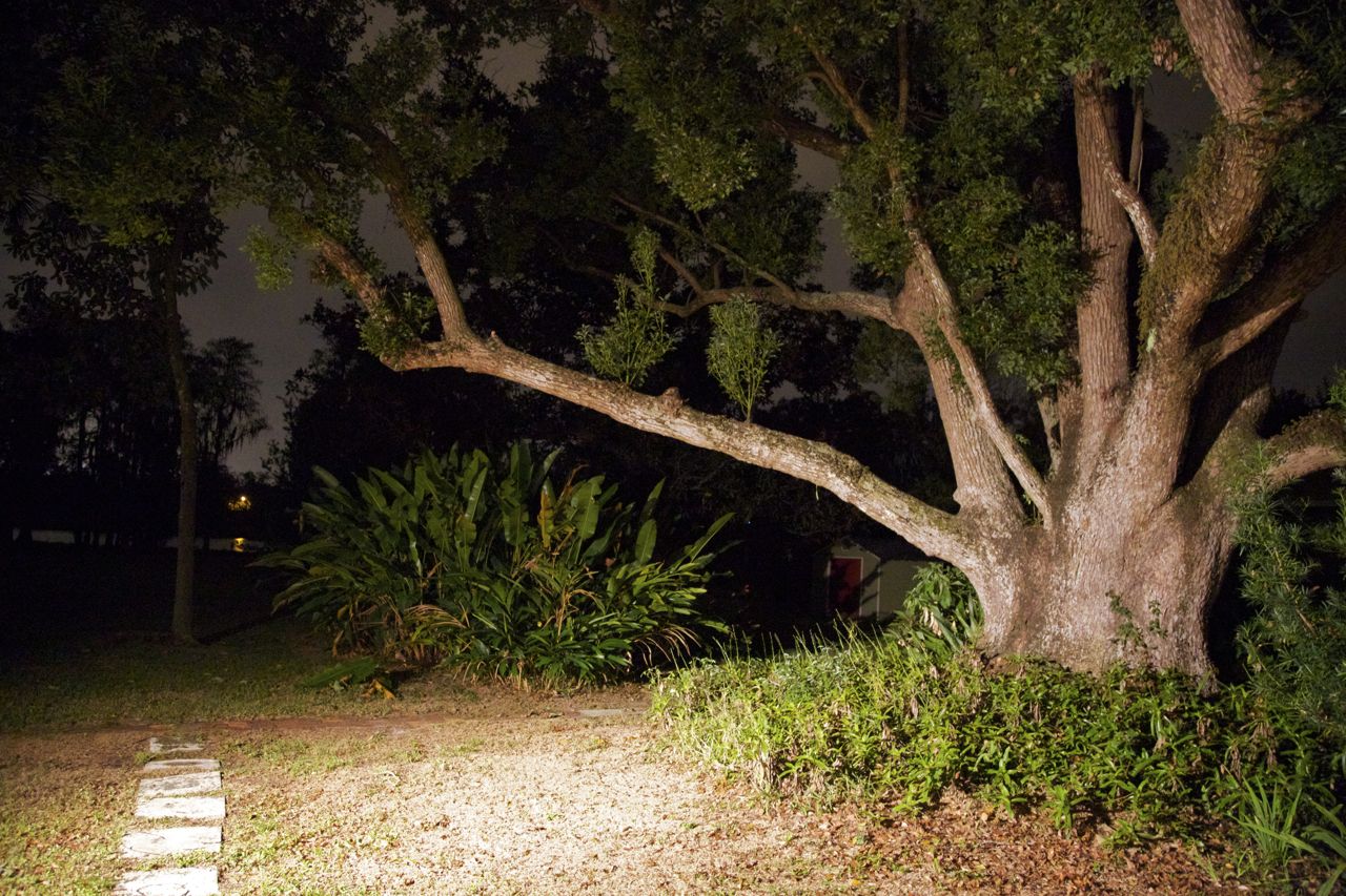 Shadows & Light: The Dark Yard