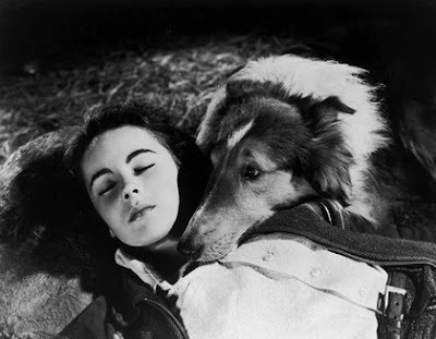 VIRTUAL ILLUSION: 03.2011