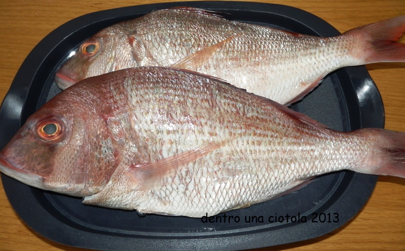 Dentro una ciotola: Pauro o Pagro al cartoccio con finocchi e limone