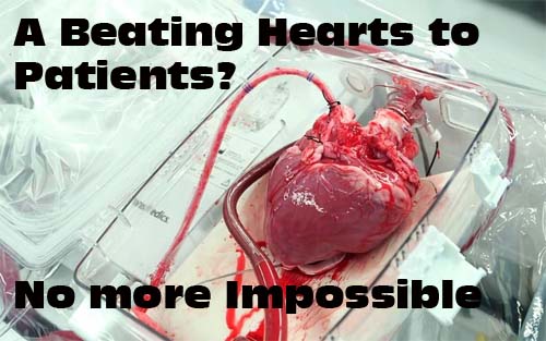 Organ Care System, Life to a Dead Heart | Nurselk.com