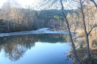 The Five Flies Fishing Club: Applegate River