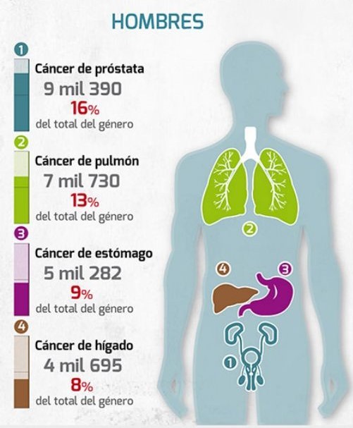 El cáncer: Tipos de cáncer , los mas comunes en mexico